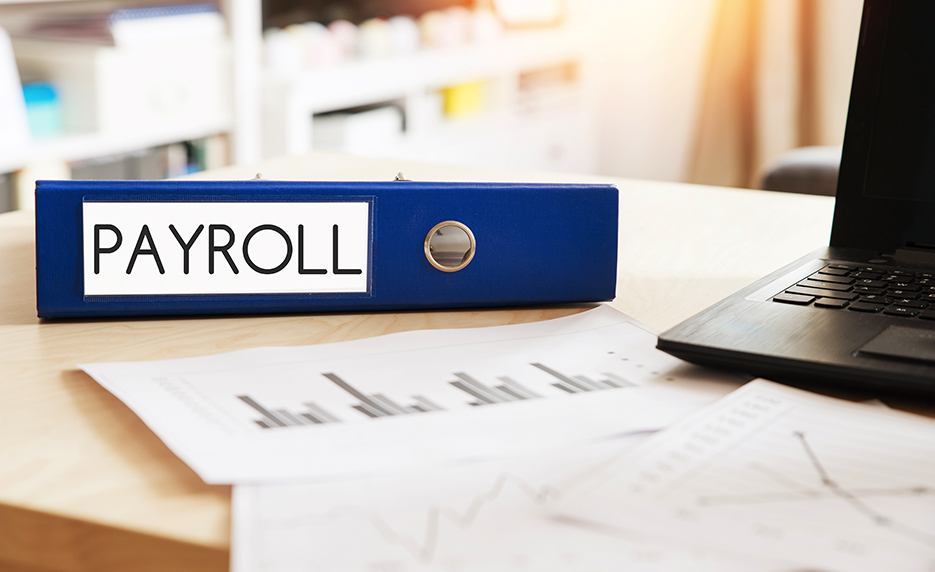 Online Payroll Practice and Management with Microsoft Excel from Dallas ...