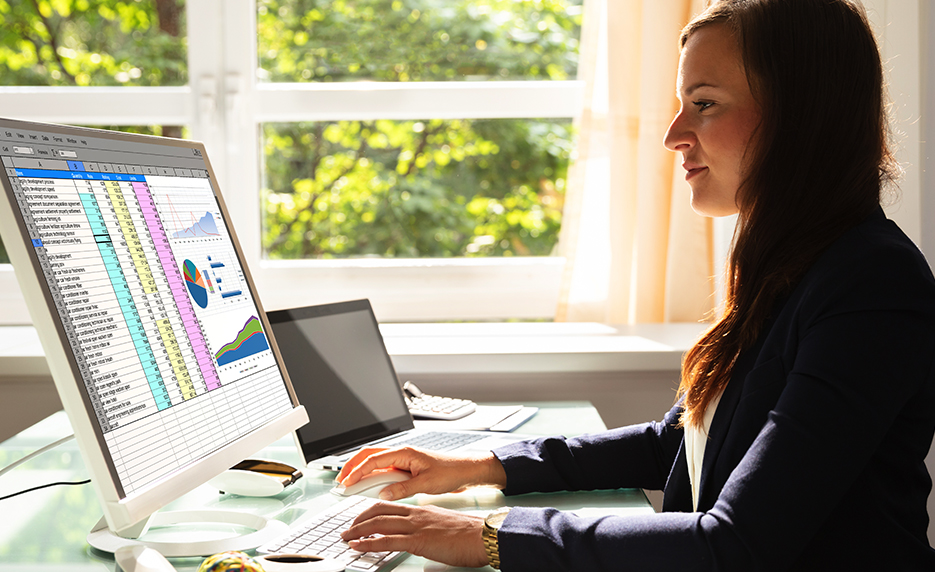 Online Certified Internal Auditor with Microsoft Excel from Dallas College